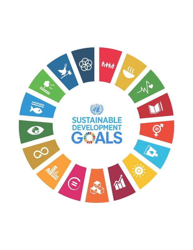 ESG et UN Sustainable Development Goals: Total Recognized as a Top ...