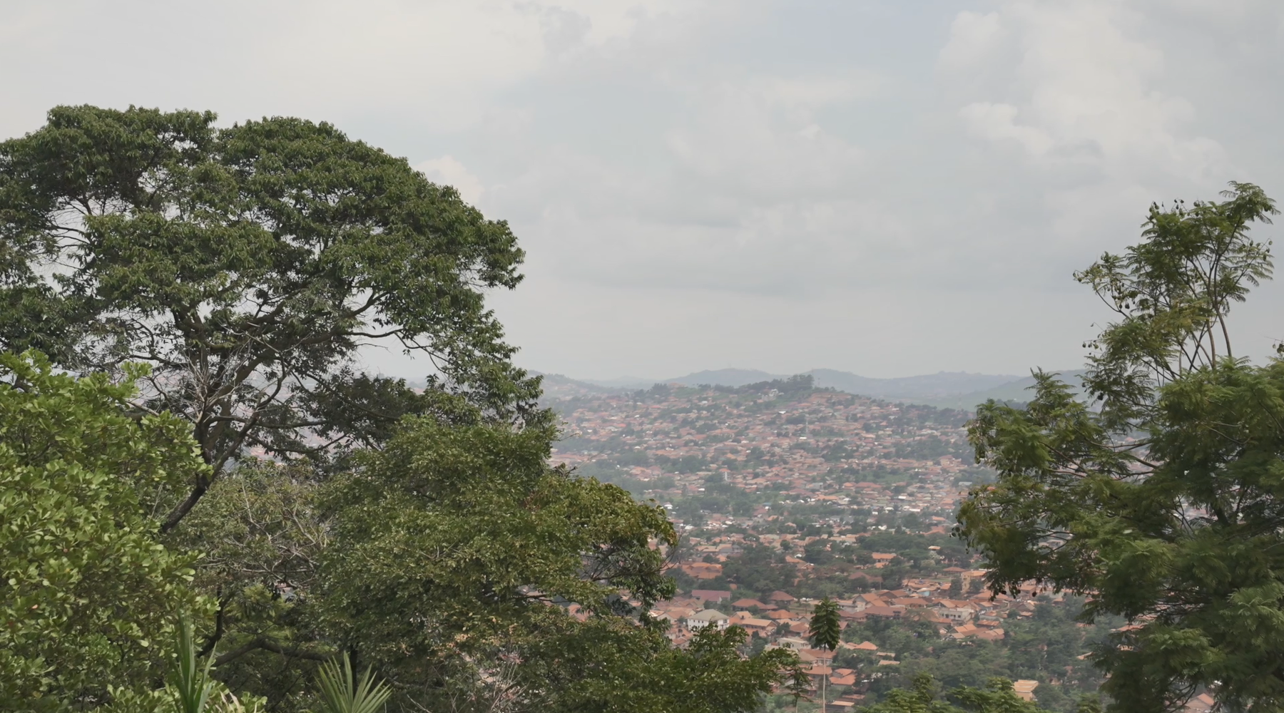 FAQ projets Tilenga & EACOP | TotalEnergies.com