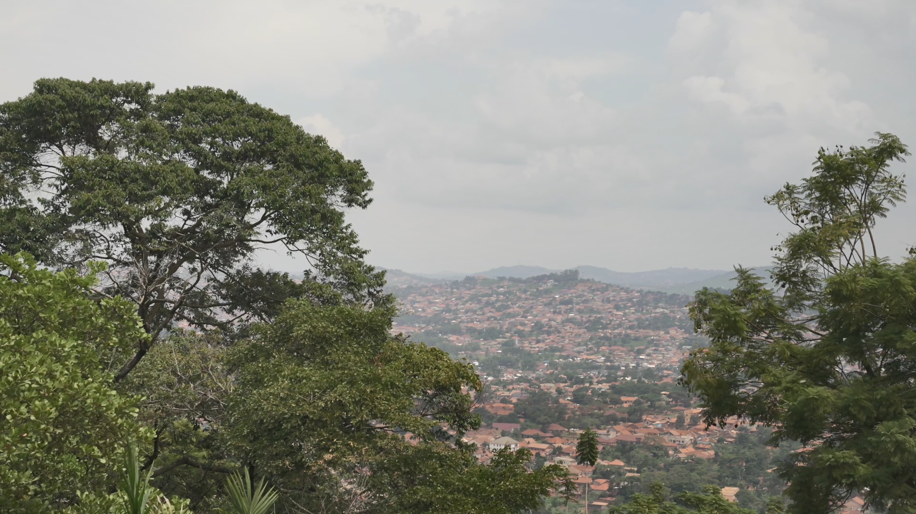 Tilenga & EACOP Projects FAQ | TotalEnergies.com