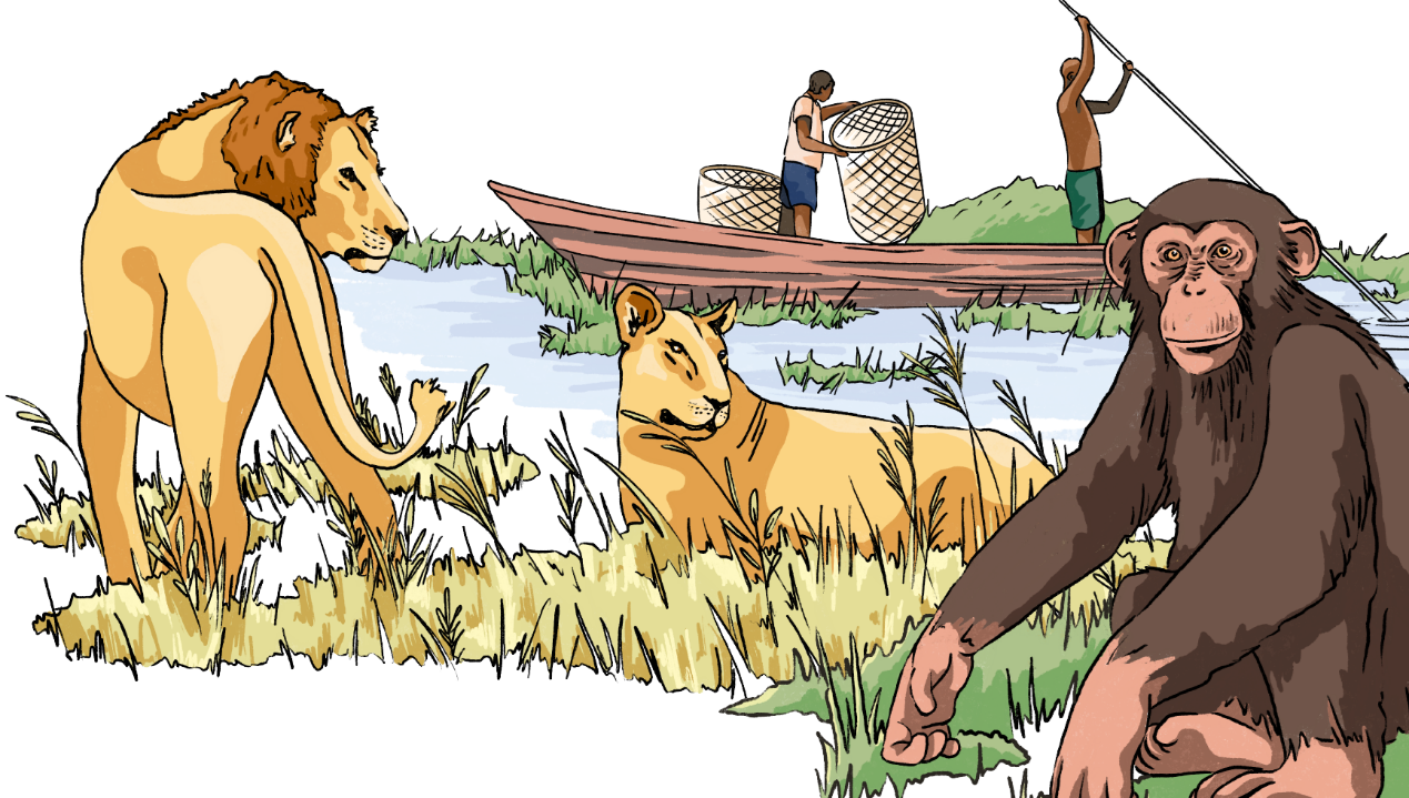 Uganda: TotalEnergies' Biodiversity Program for the Tilenga Project ...