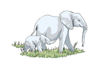 TotalEnergies’ Biodiversity Program for the Tilenga Project: Conclusion ...