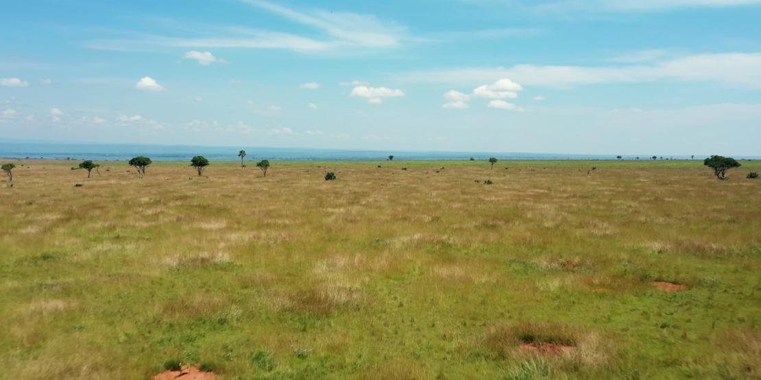 All About the Tilenga and EACOP Projects | TotalEnergies.com